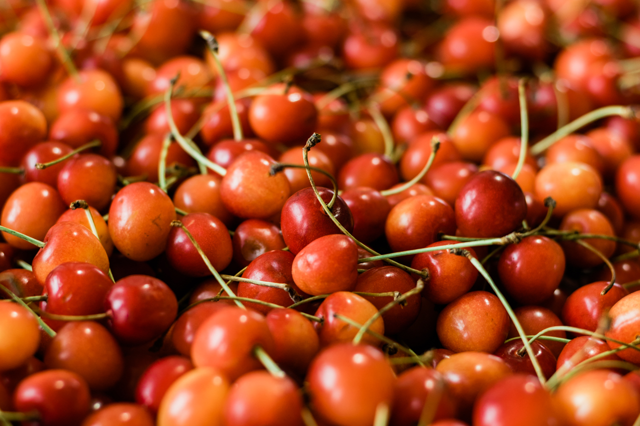 Nature Series: Murata Orchard - Social Bus